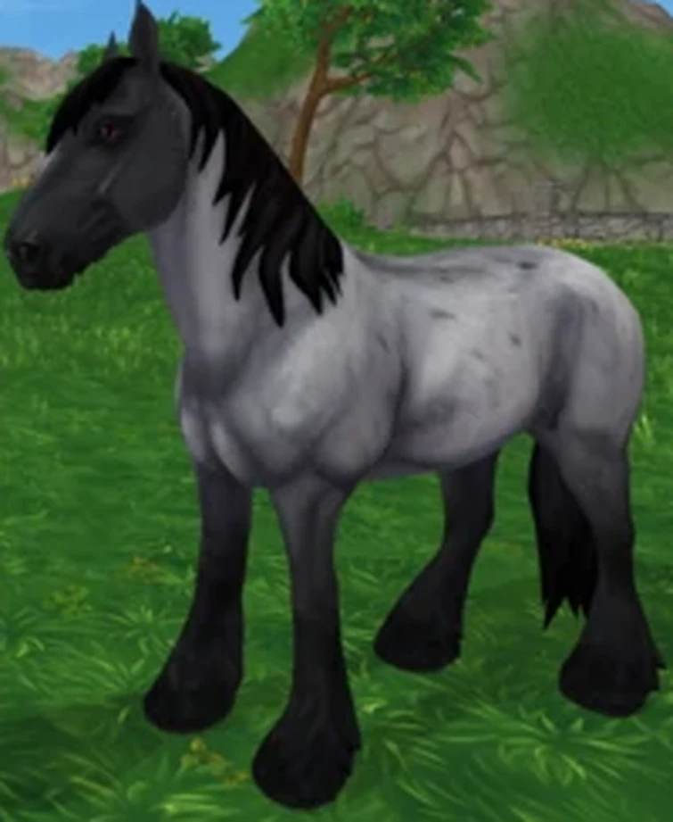 Meet My Horses/All My Horses RRP | Fandom