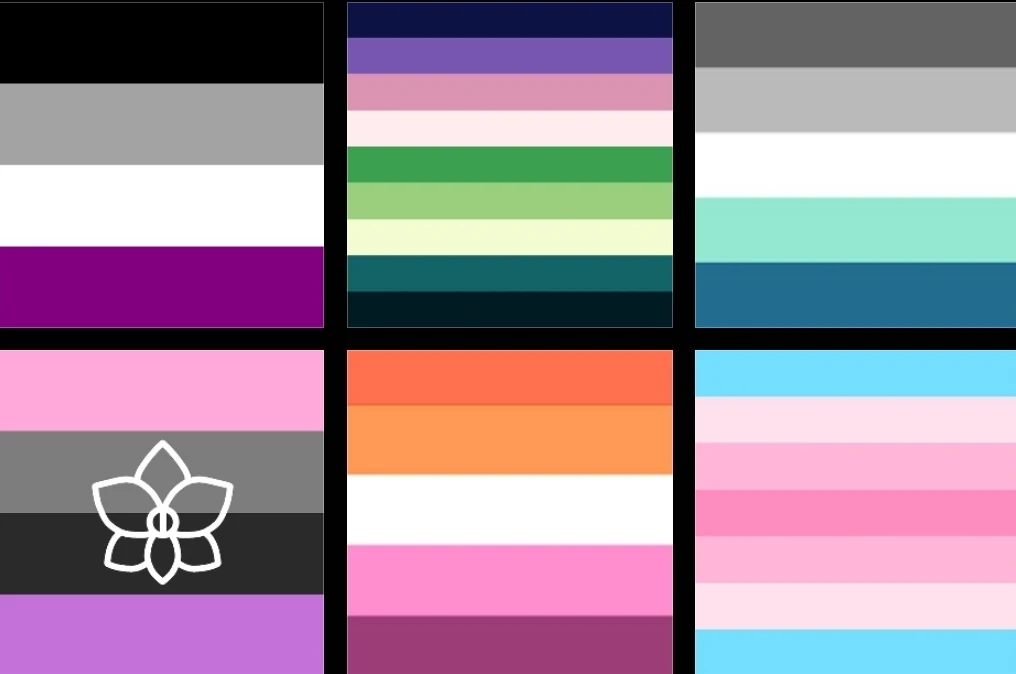 So uh Gender/Sexuality Label update | Fandom