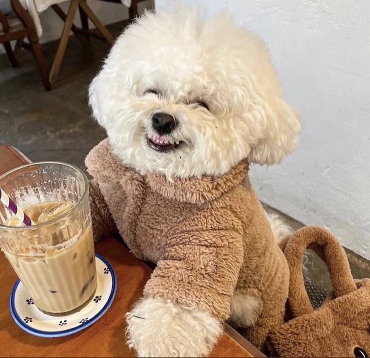 Count Contessa's Drag Race All Stars ⭐ | "He's A Cheater!" Episode 3 ...