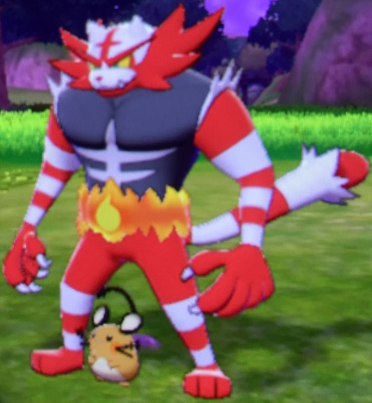 GUYS GUYS BONGO INCINEROAR | Fandom