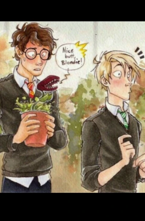*DRARRY* | Fandom