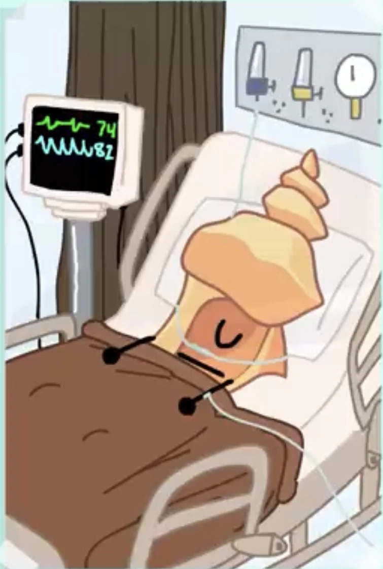 RIP Conch Shell, you will be missed. | Fandom