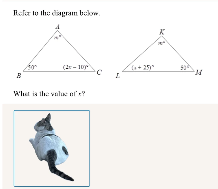 Discuss Everything About Content Warning Wiki | Fandom