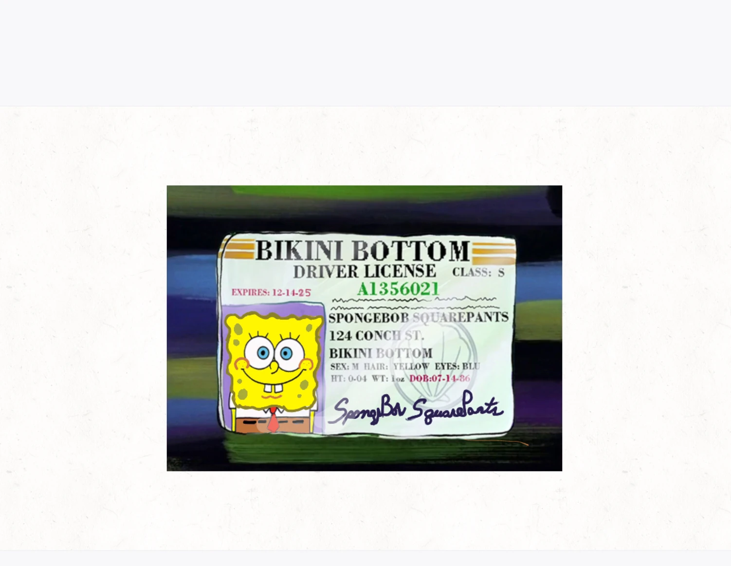 SpongeBob's Driver's License Recolor | Fandom