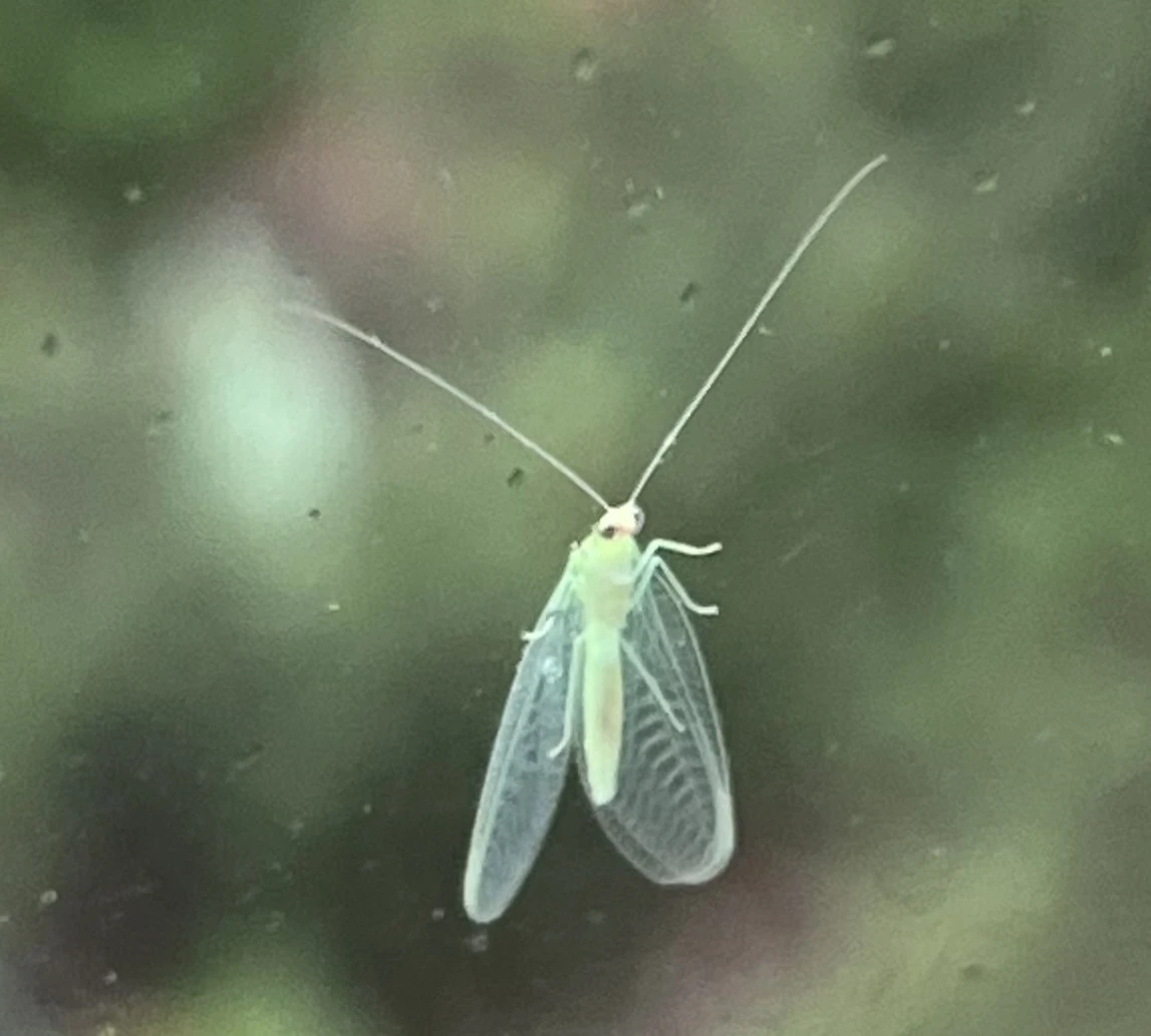 ARE PEOPLE FINALLY GETTING INTO THAT HANDSOME DEVIL | Fandom