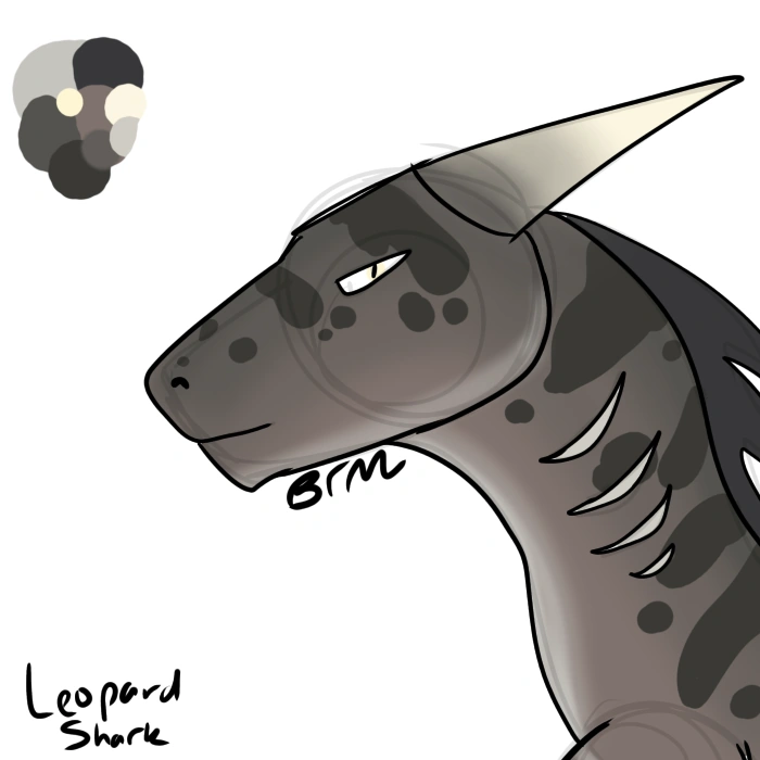 Meet Triakis :> | Fandom