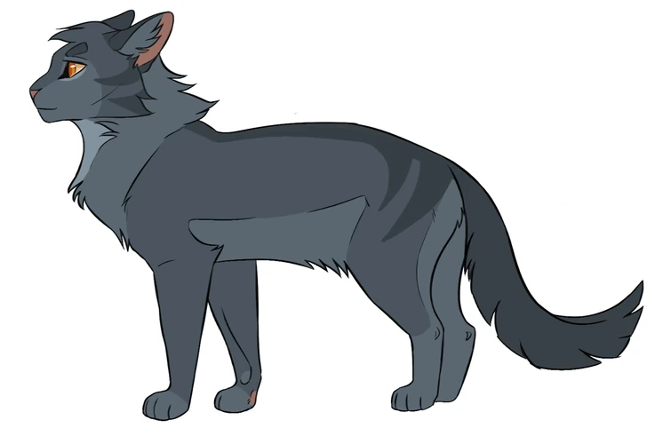 The new cats in Outcast (and the ones that changed ranks) | Fandom