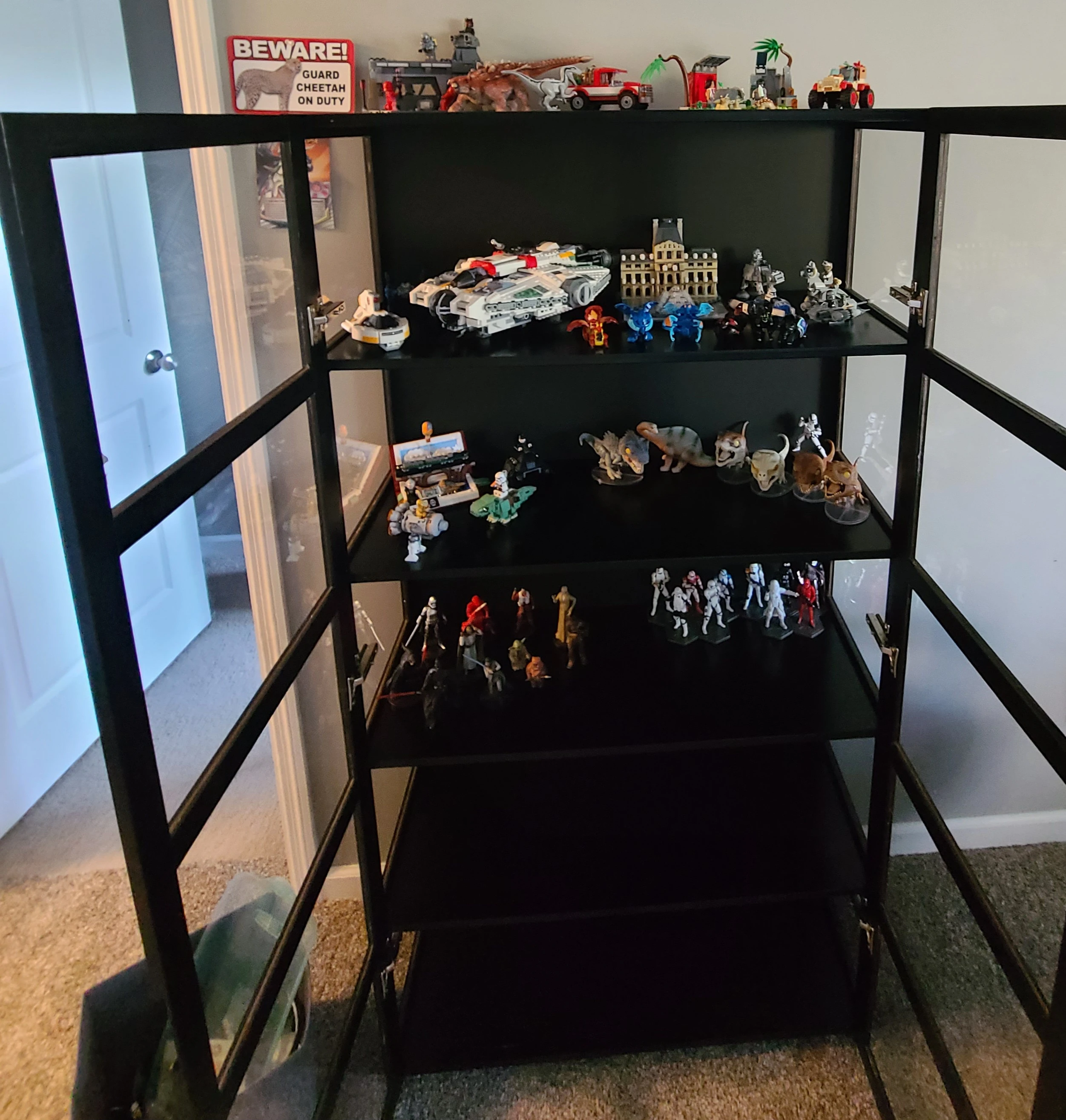 New display cabinet | Fandom