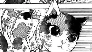 chachamaru my beloved