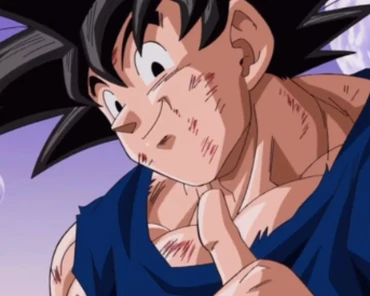 Does Goku Solo? | Fandom
