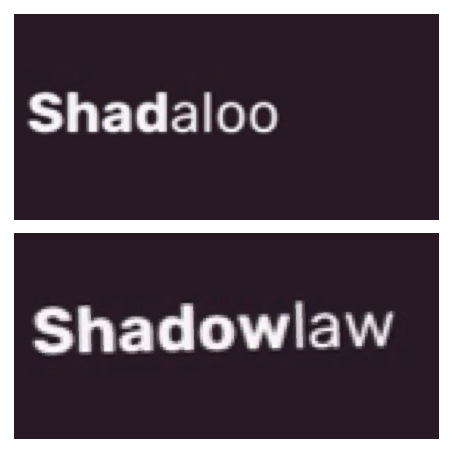 Does Shadaloo Translate To Shadow Law? | Fandom