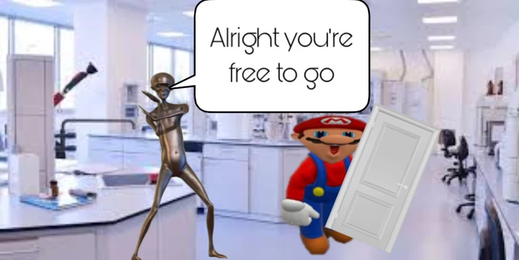 SMG4 Shortened: Mario gets his pingas stuck in the door | Fandom