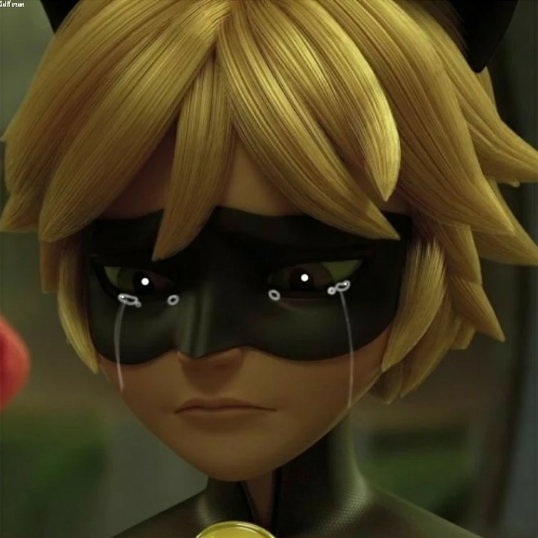 Cat noir | Fandom