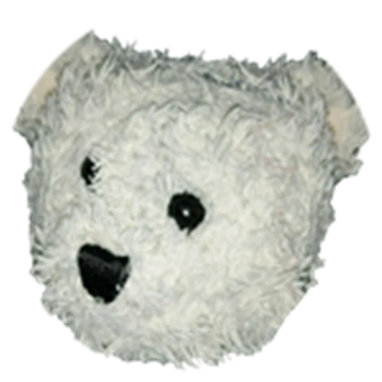 Add diz on sam gallery | Fandom