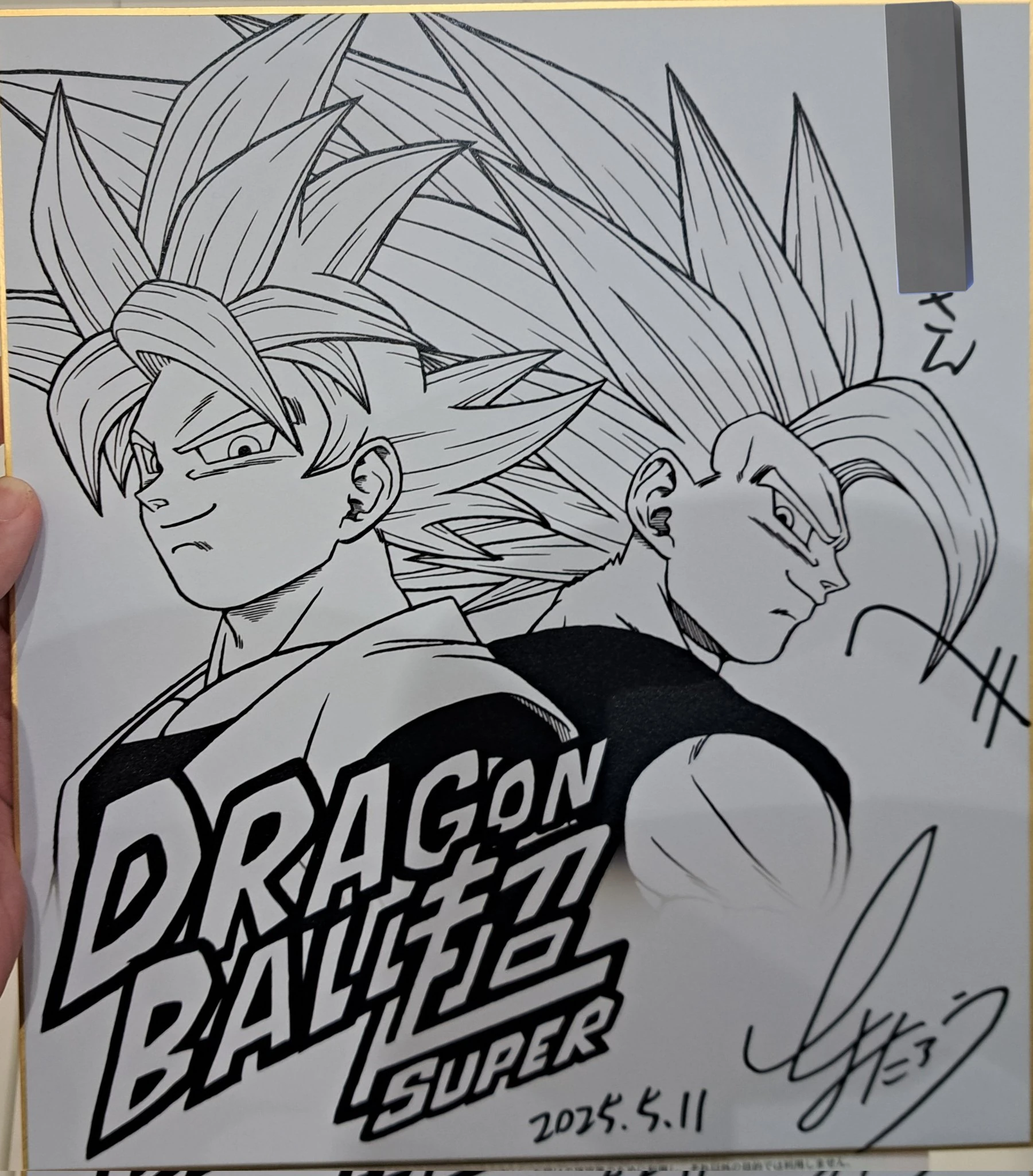 Goku and Gohan, drawn by Toyotaro. | Fandom