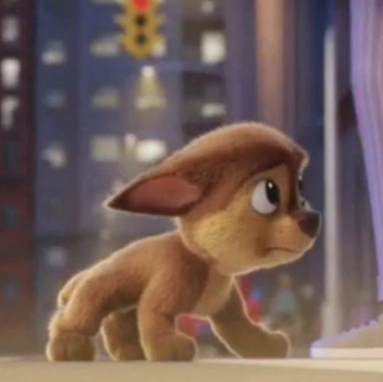 Chase when he were a puppy being abandoned by old owner later found and ...