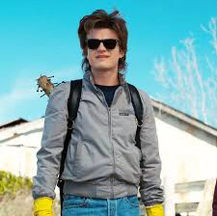 Steve Harrington appreciation post | Fandom