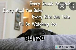 morning meme | Fandom