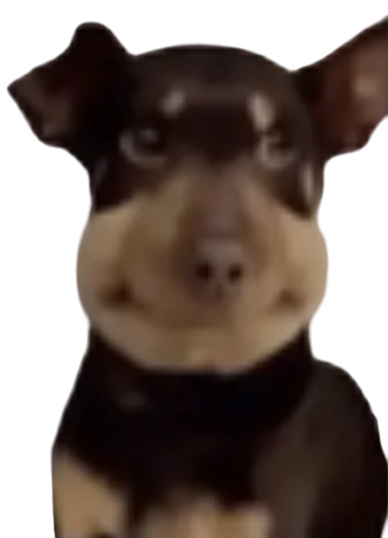 Discuss Everything About PNG Phobia Wiki | Fandom