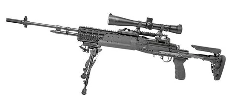 DMR gun idea: Mk14 EBR sorry to keep y'all waiting | Fandom