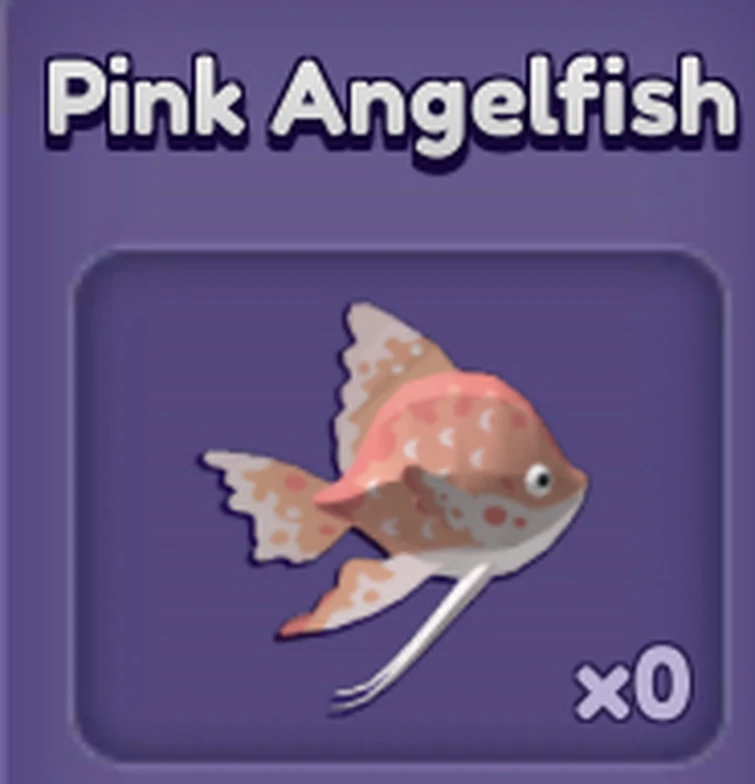 Random question: Does anyone have a photo of the Pink Angelfish (Fish ...