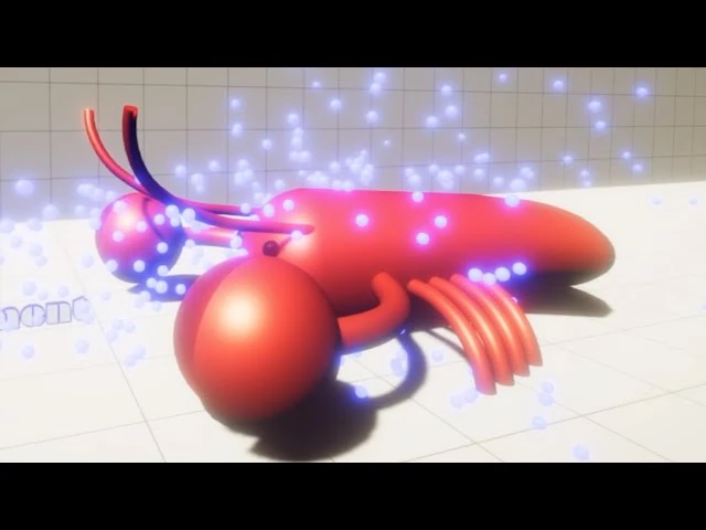 Aerodynamics of a Lobster | Fandom