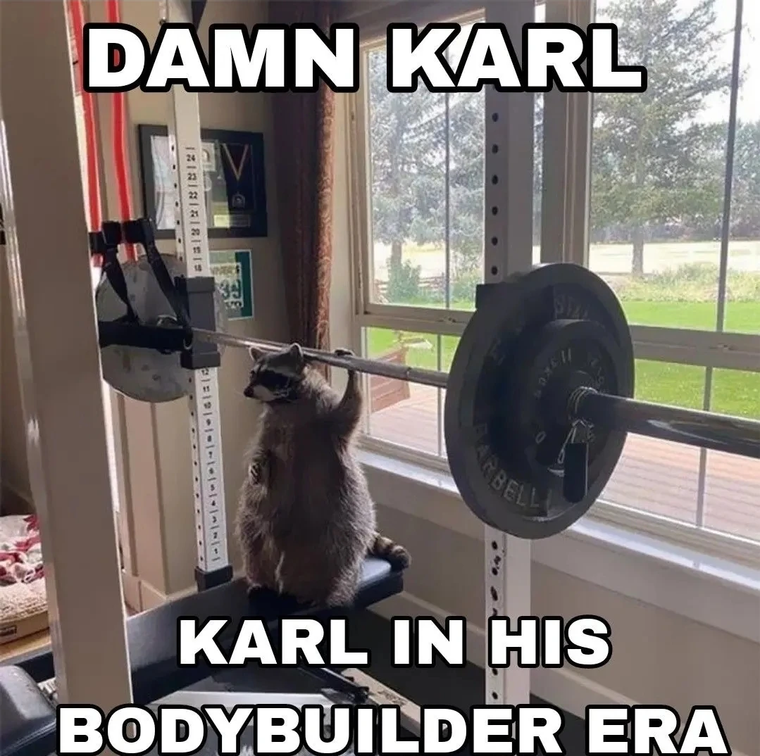 KARL!!! 🦝 | Fandom