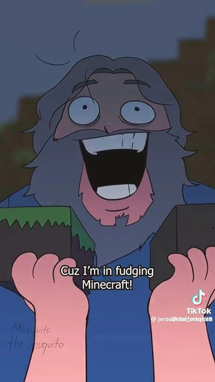 im am placing blocks n shit cause im in fucking minecraft | Fandom