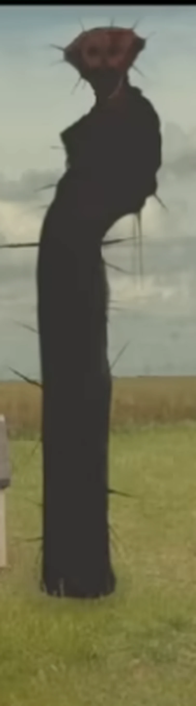 Boiled Nextbots rng source image | Fandom