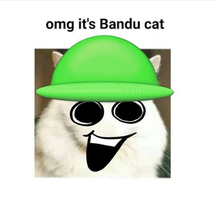Bandu cat | Fandom