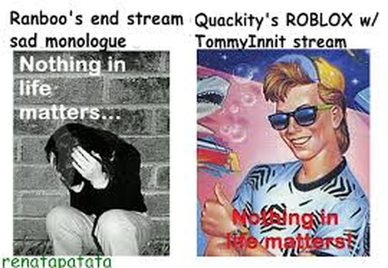 DSMP memes day #2! | Fandom