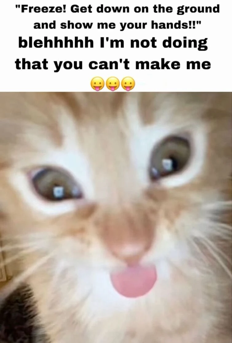 Attention Moderators | Fandom