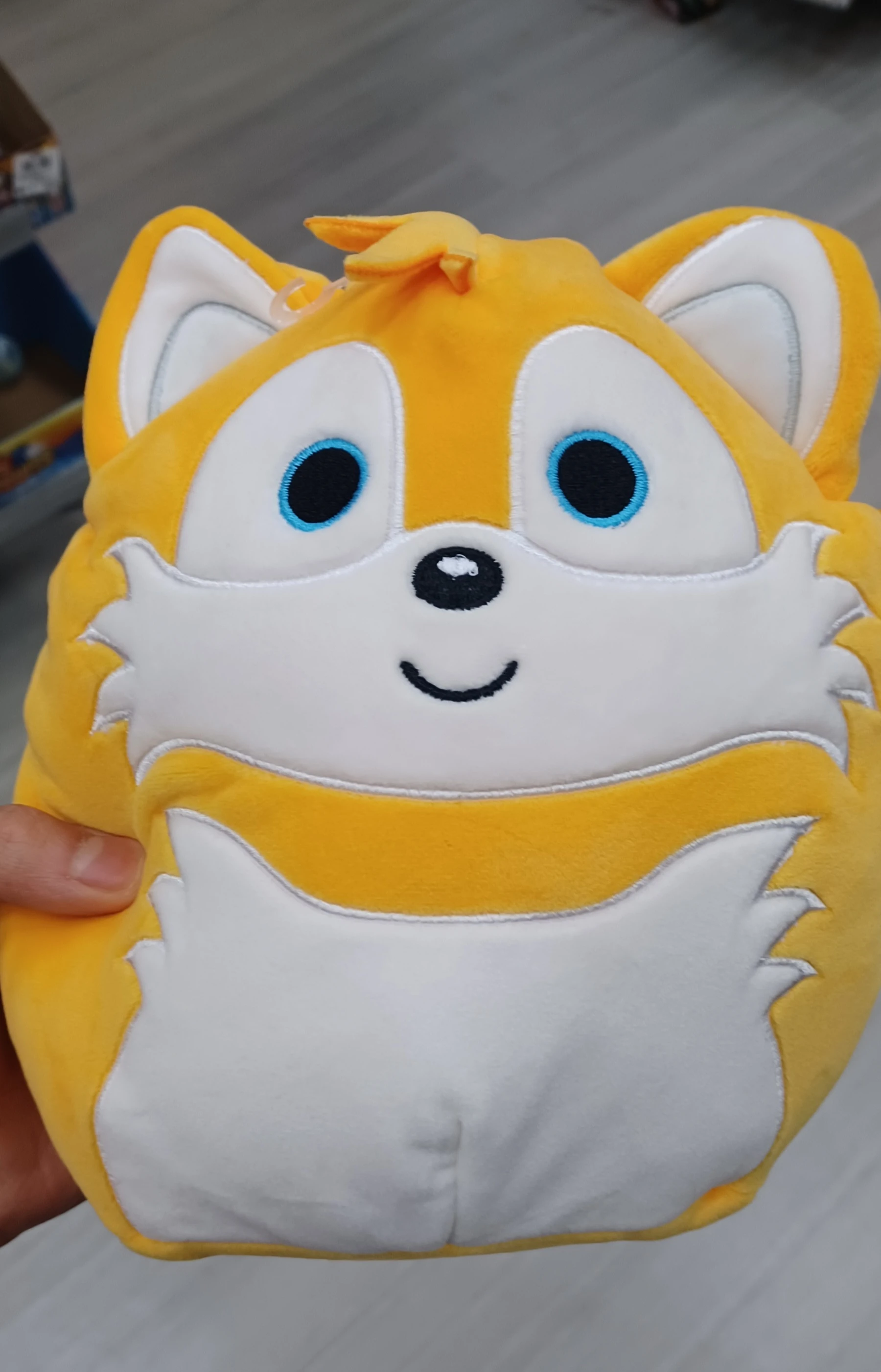 I found Tails | Fandom