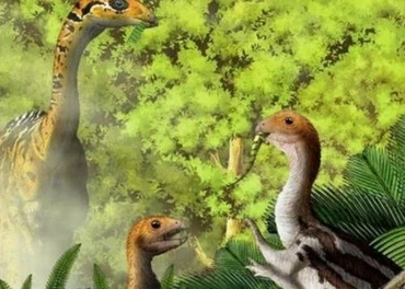 Discuss Everything About Dinopedia | Fandom