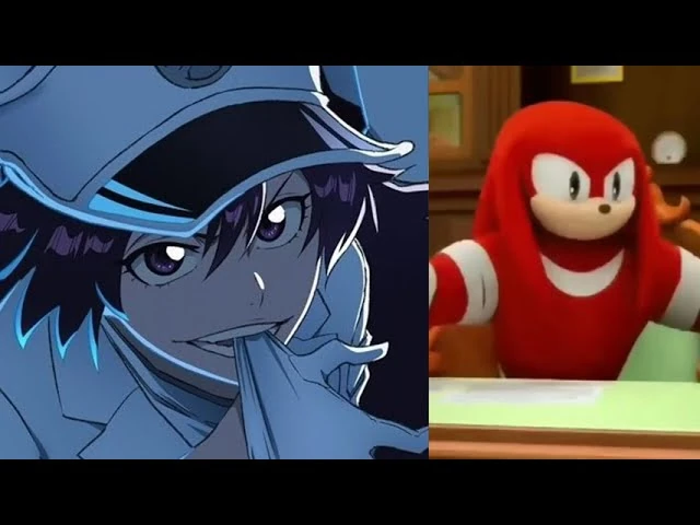 Knuckles the Echnida rates most of the Bleach girls. | Fandom