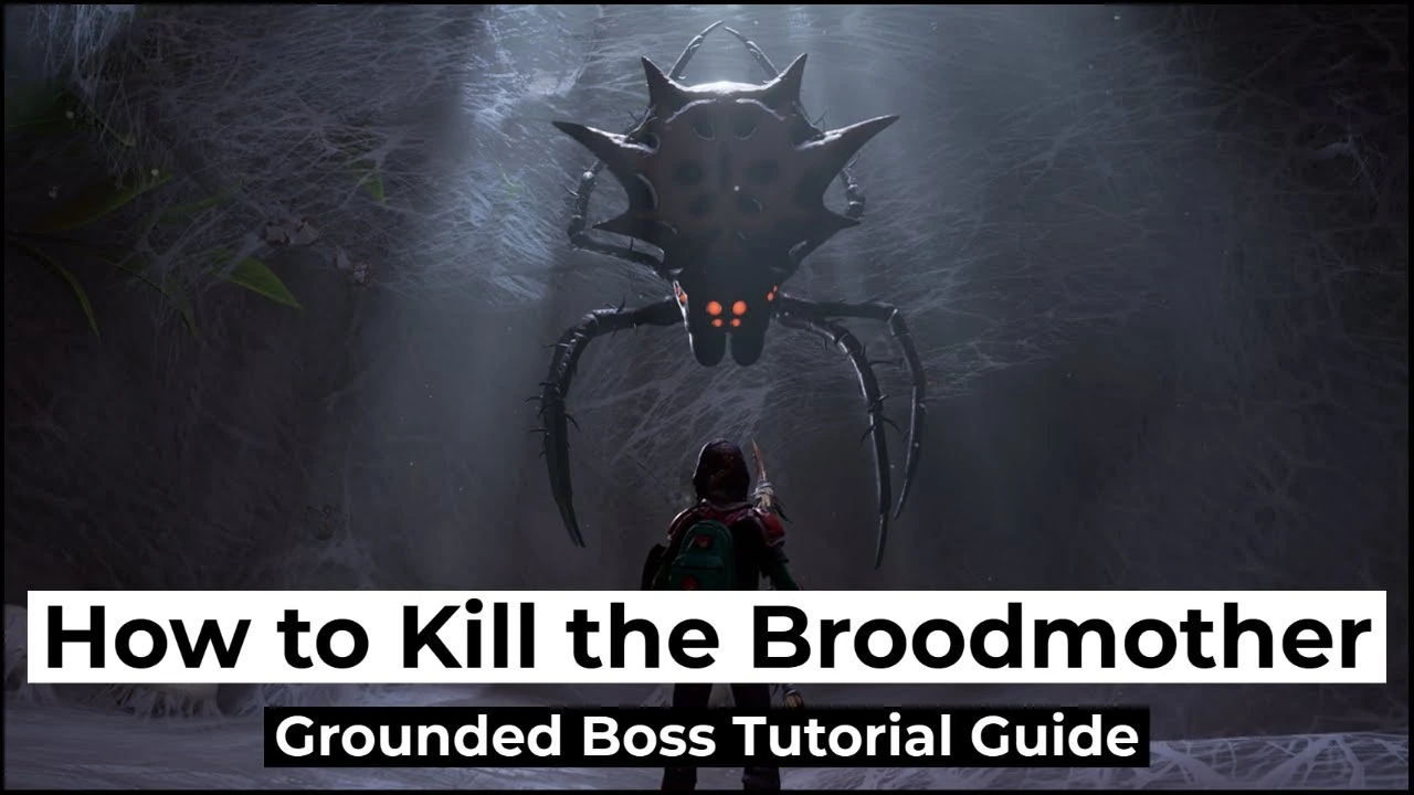 How to beat the broodmother solo | Fandom