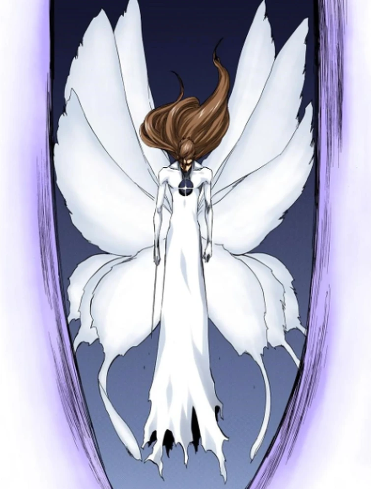 Favorite Aizen Form? | Fandom