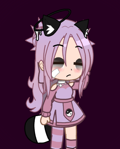 Raccoon 🙂 | Fandom