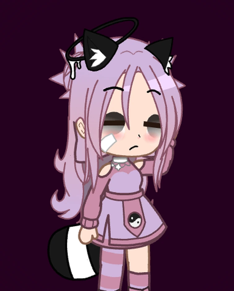 Raccoon 🙂 | Fandom