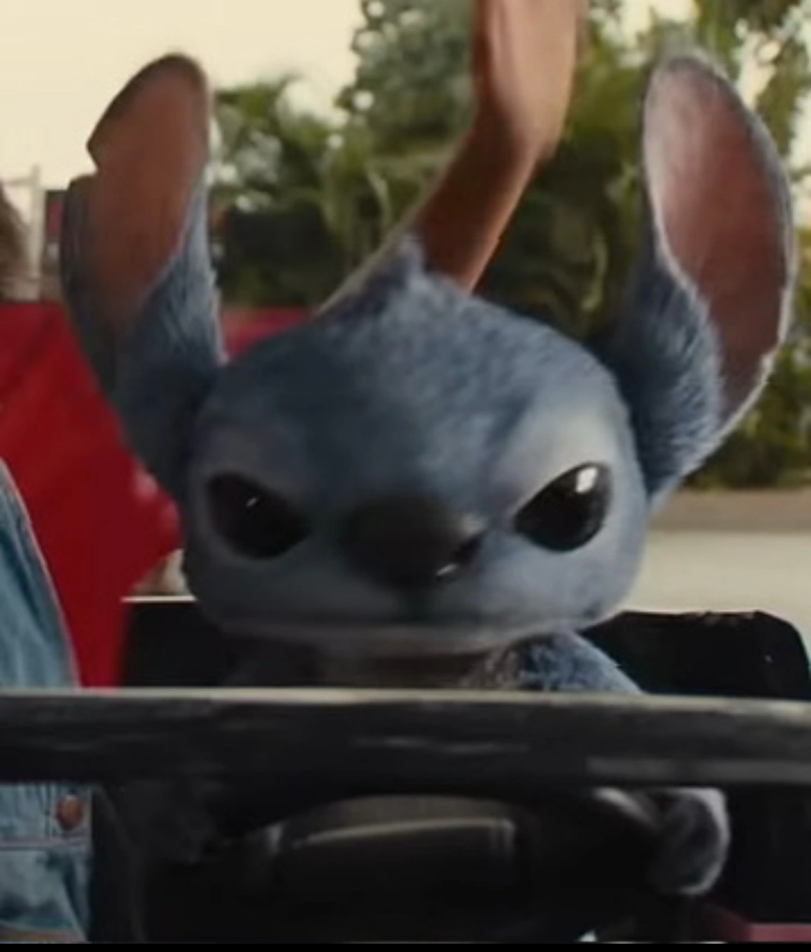 Stitch driving | Fandom