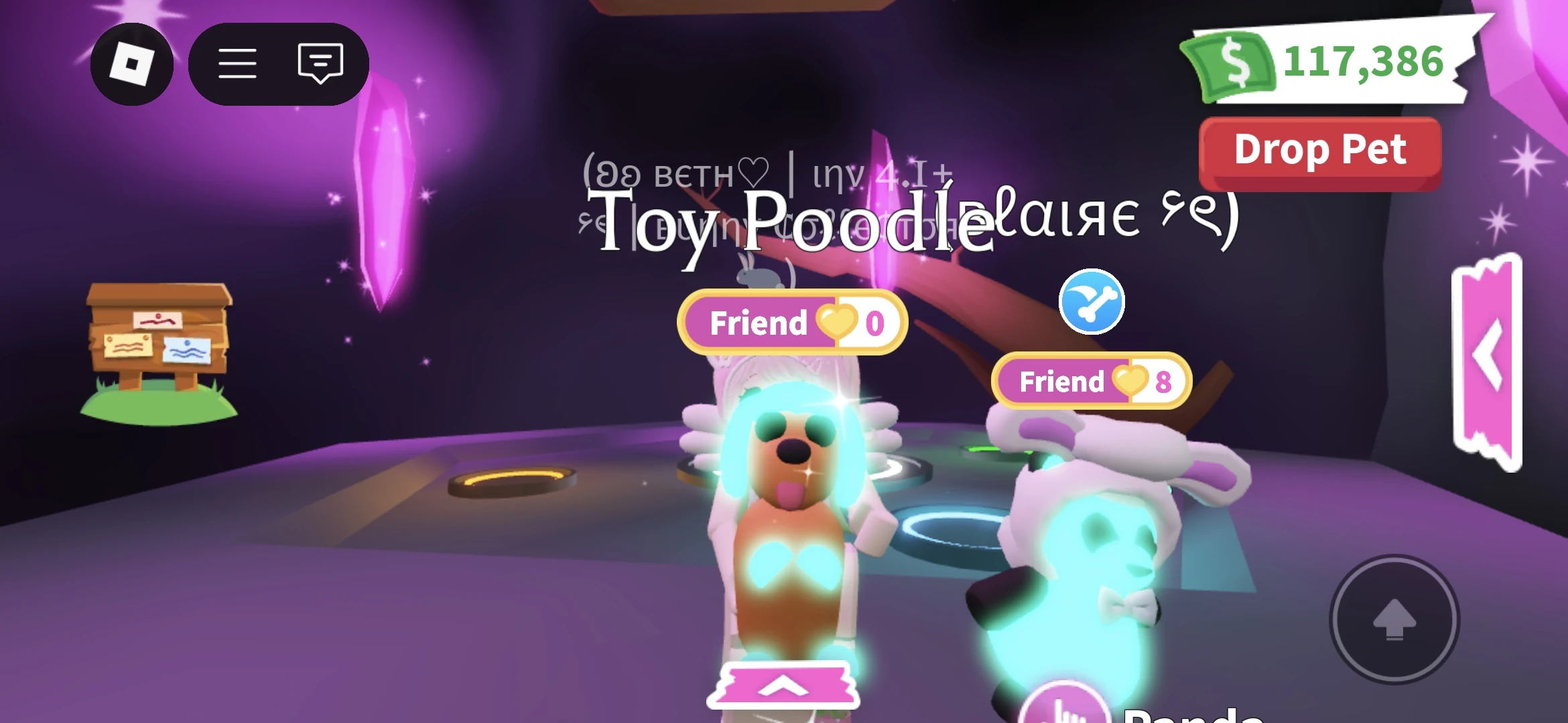 Mega toy poodle made! | Fandom