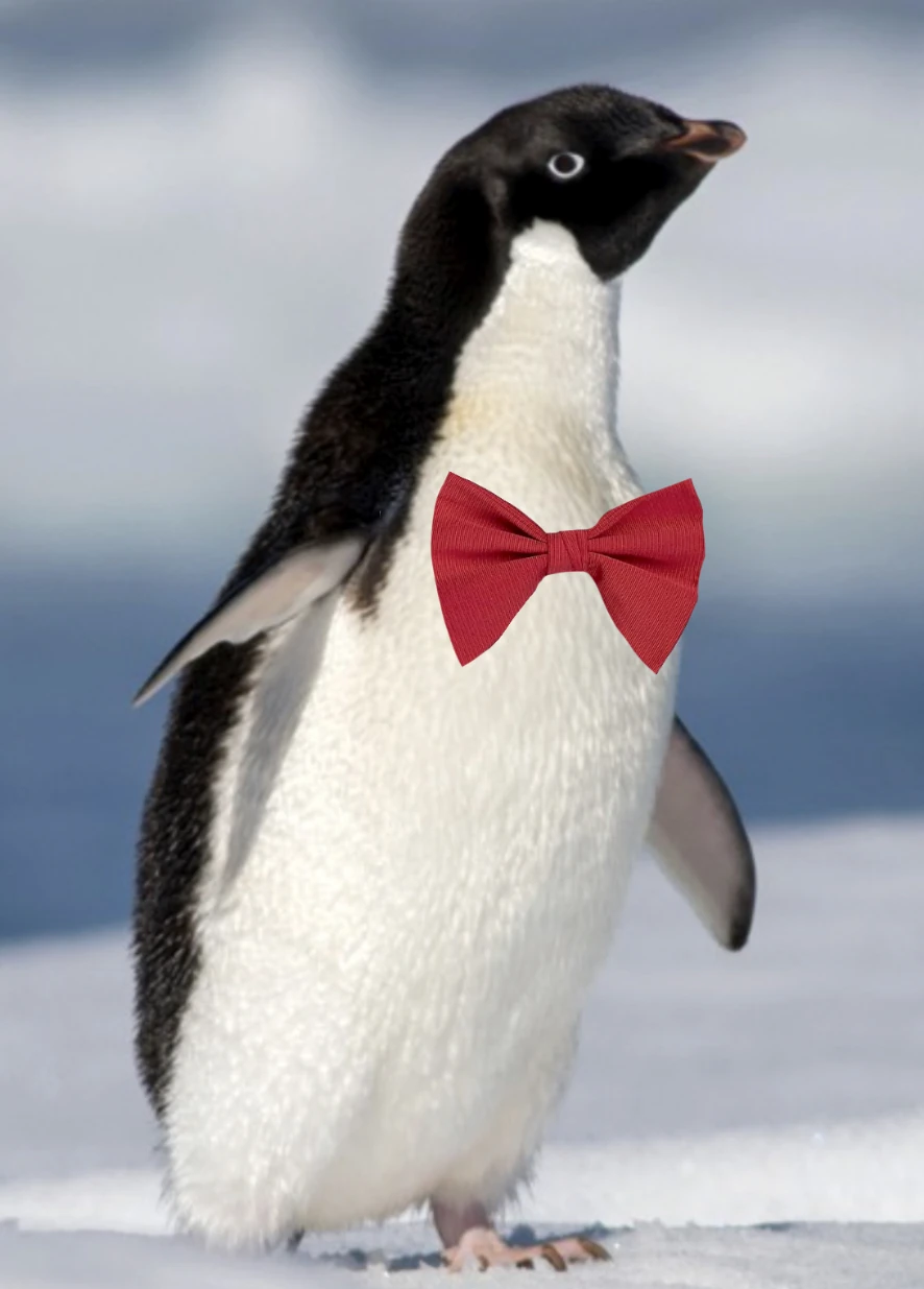 Wheezy in real life | Fandom