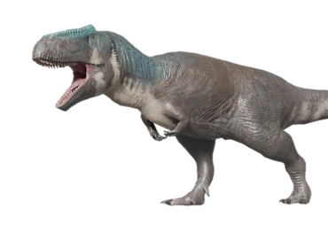 Favorite Carcharodontosaurid | Fandom
