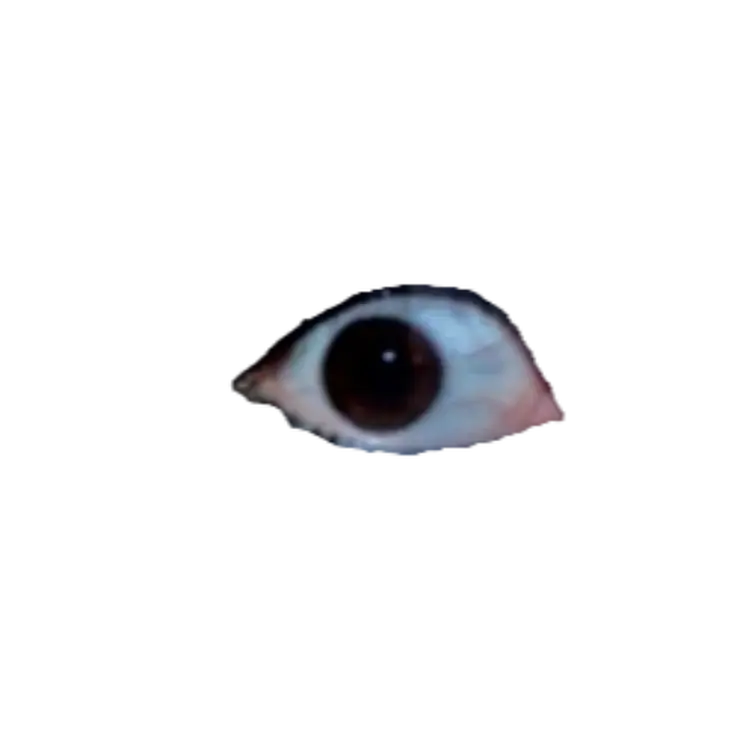 A-100 eye face made in kleki | Fandom