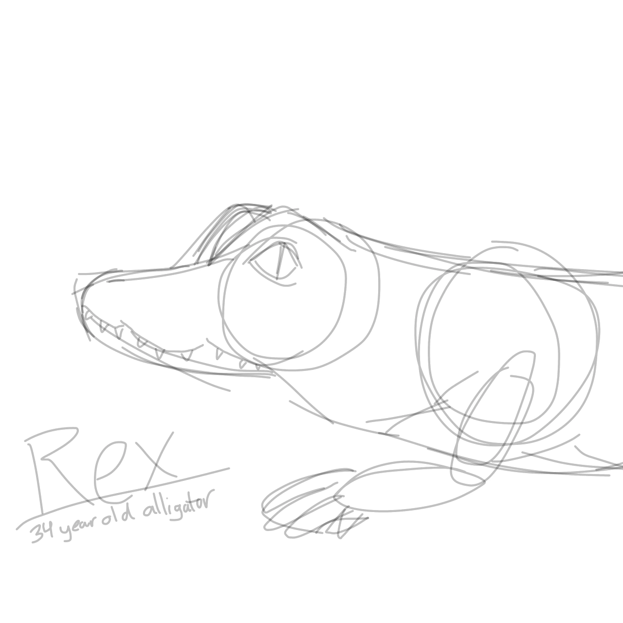rex, my favorite alligator | Fandom