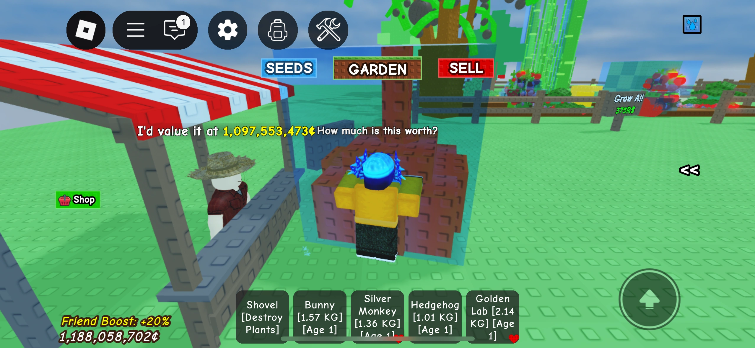 Gold, shocked, Celestial, frozen, disco moon melon at 26kg something | Fandom