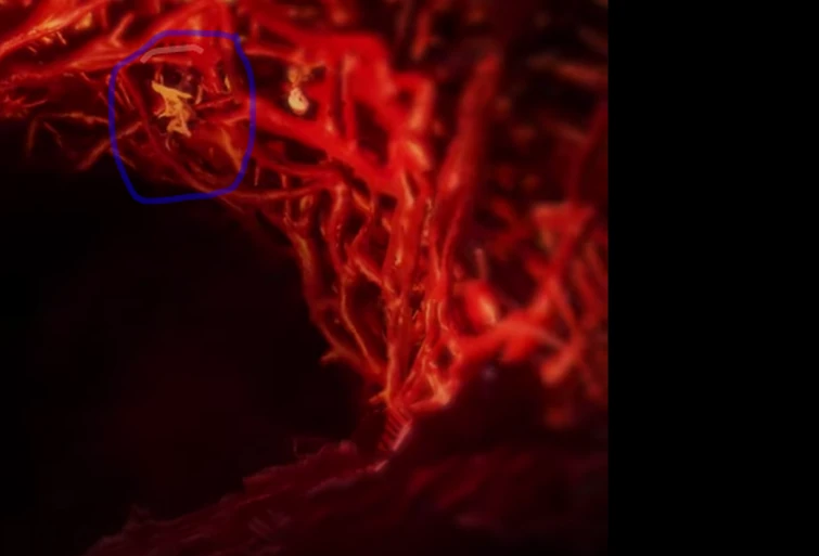 Analyzing the teaser frames | Fandom