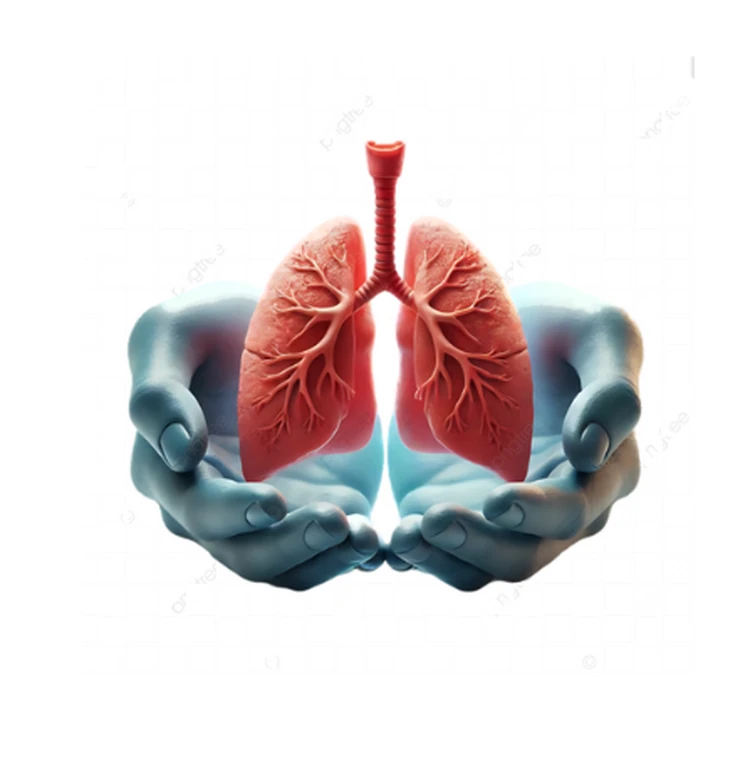 ladies ladies... one at a time! (gimmicks!) | Fandom