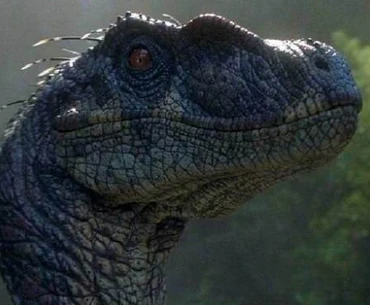 What do you think is the best raptor | Fandom