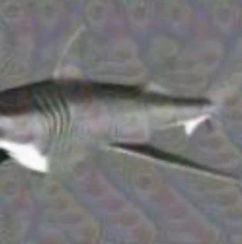 Good morning!! | Fandom